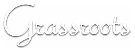 grassroots-hero-logo | South Texas Business Partnership